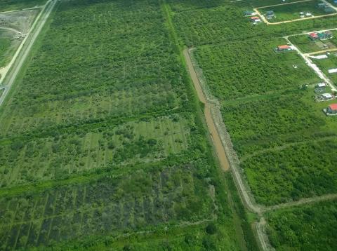 Landscape | PhD of Biodiversity